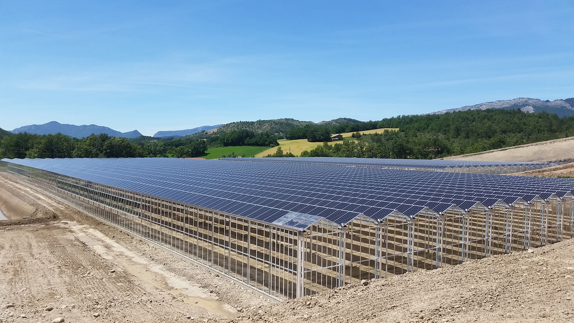 Portfolio - Van der Hoeven Horticultural Projects